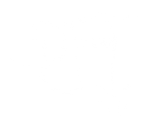 Ahmed Djamil Ghouli. Chanteur et instrumentiste «Je privilégie la ...